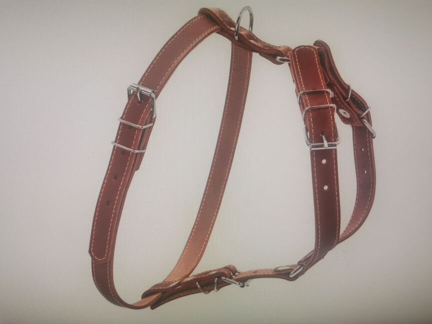 Шлея Collar кожаная одинарная