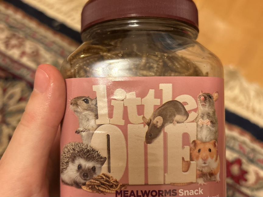 Корм-лакомство для грызунов