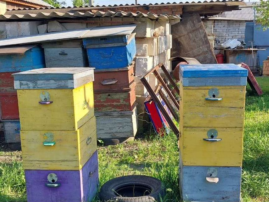 Улей для пчел бу