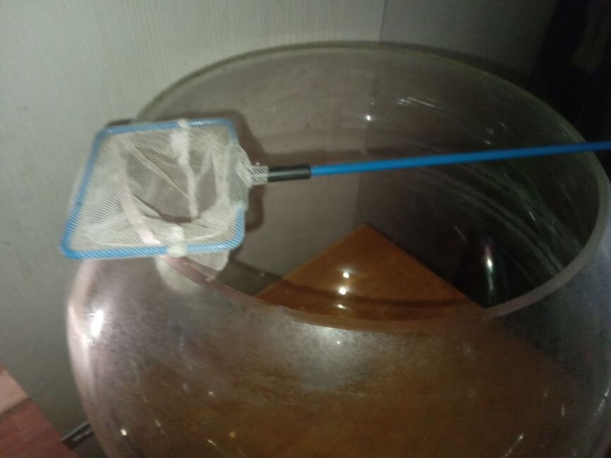 Аквариум сфера-круглый