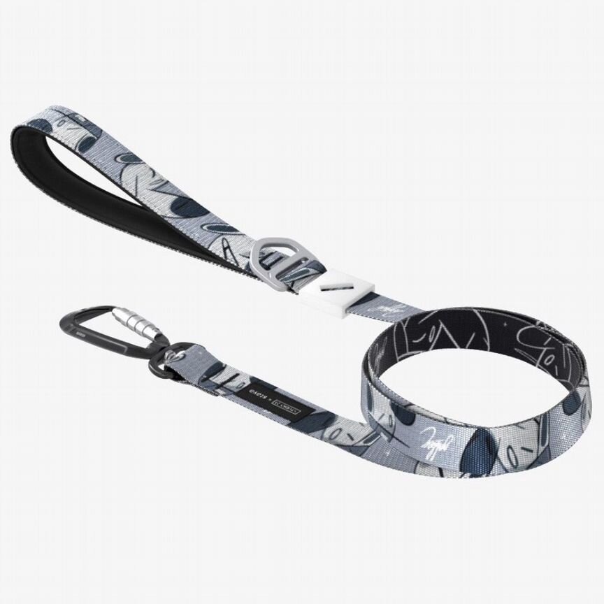 Ошейник для собак и поводок staya