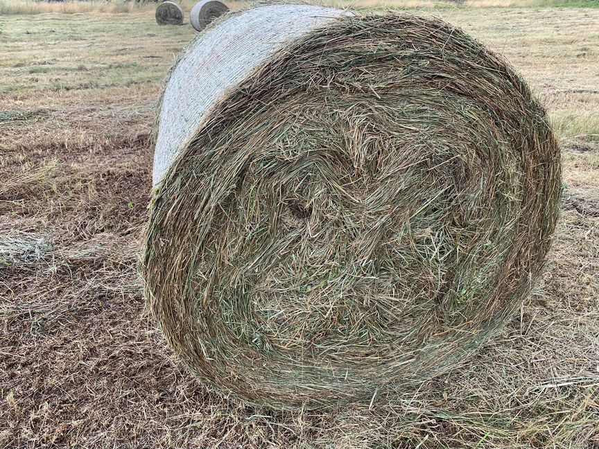 Сено луговое, солома ячменная с доставкой