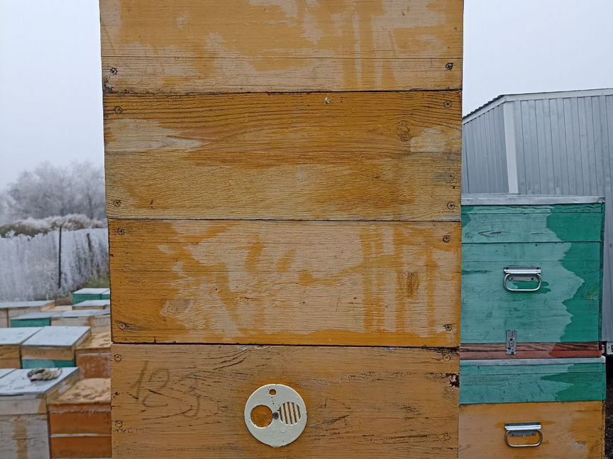 Продам ульи для пчел