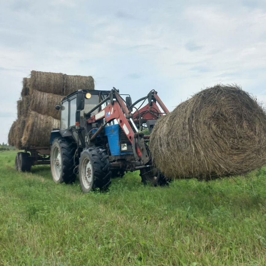 Продам сено в рулонах