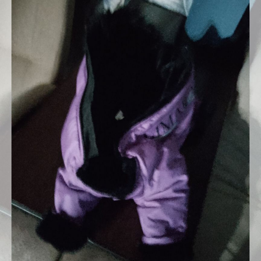 Одежда для собак мелких пород девочка