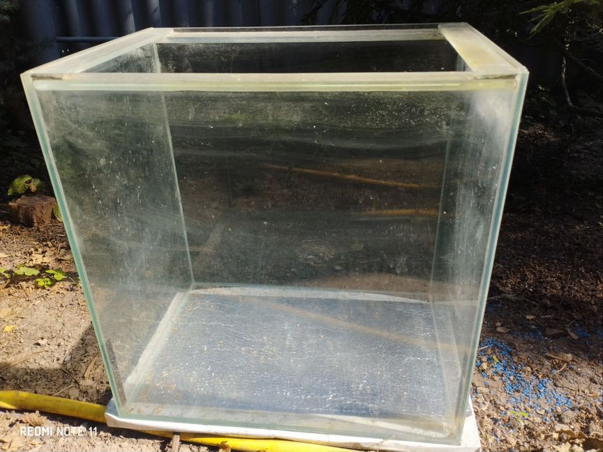 Аквариумные рыбки