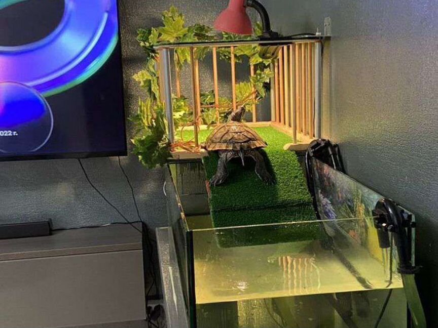 Мостик для черепах, домики для животных