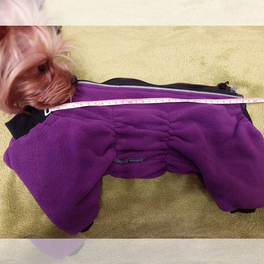 Одежда для собак мелких пород бу цена за все