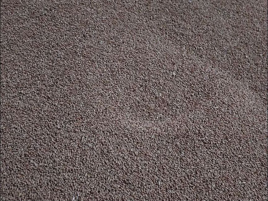 Фуражный горох, Семечко на корм/посев