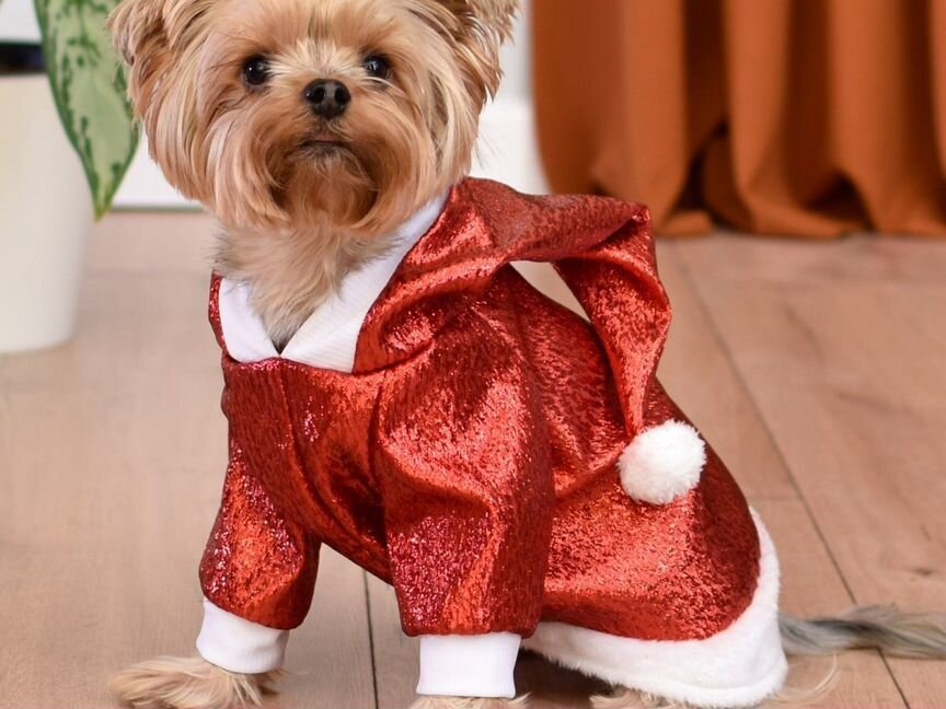 Tappi одежда костюм новогодний для кошек и собак "