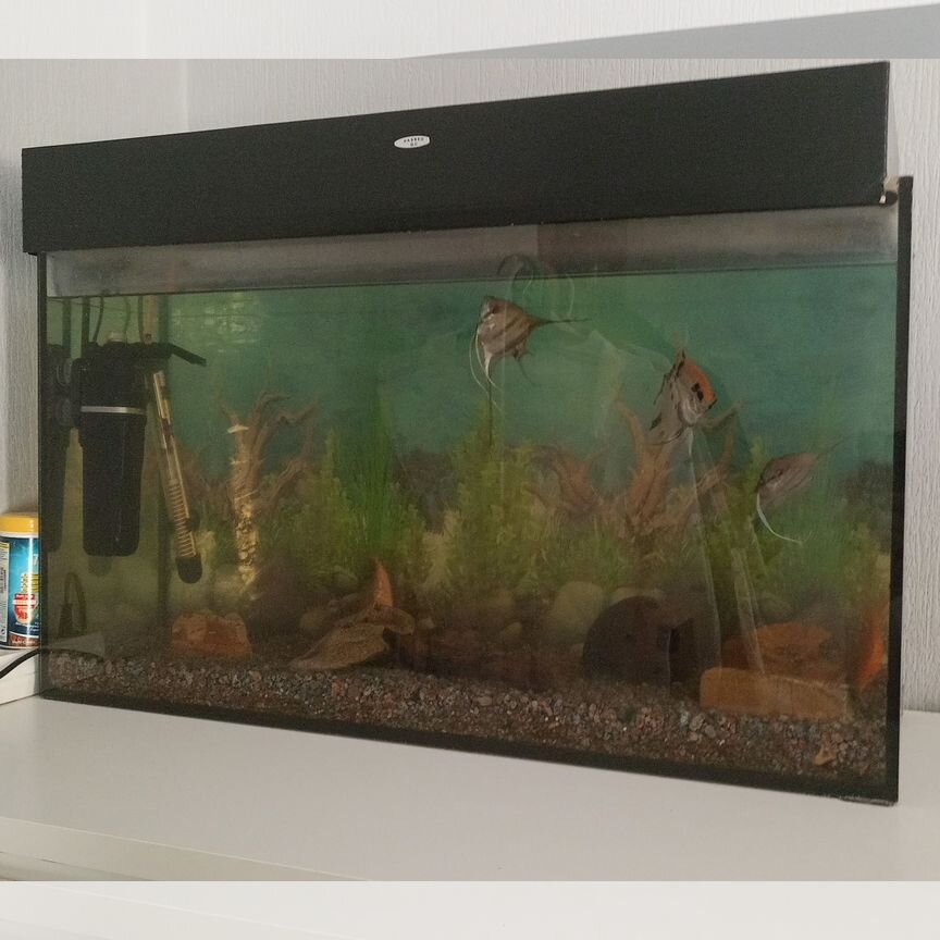 Продам аквариум