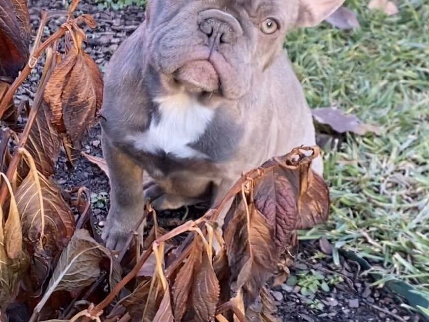 Симпатяшка