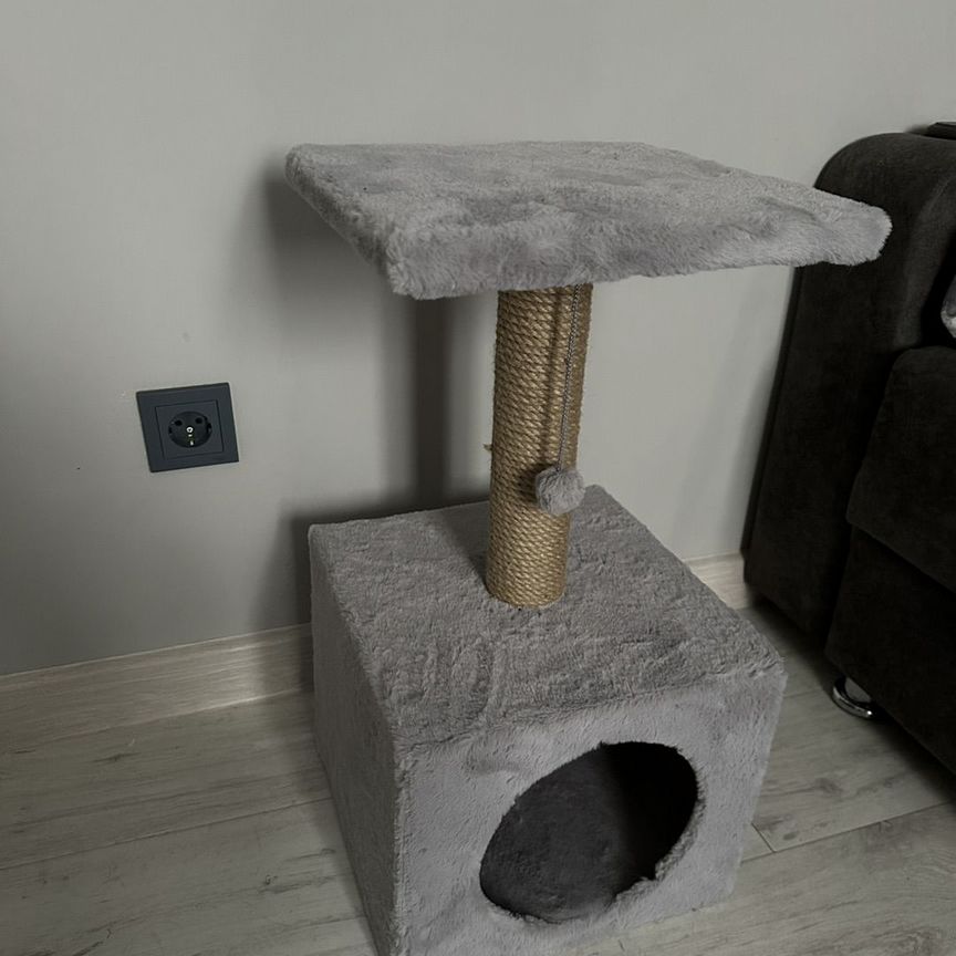 Когтеточка