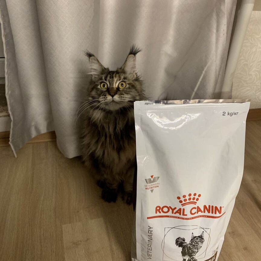 Корм для кошек Royal canin hairball