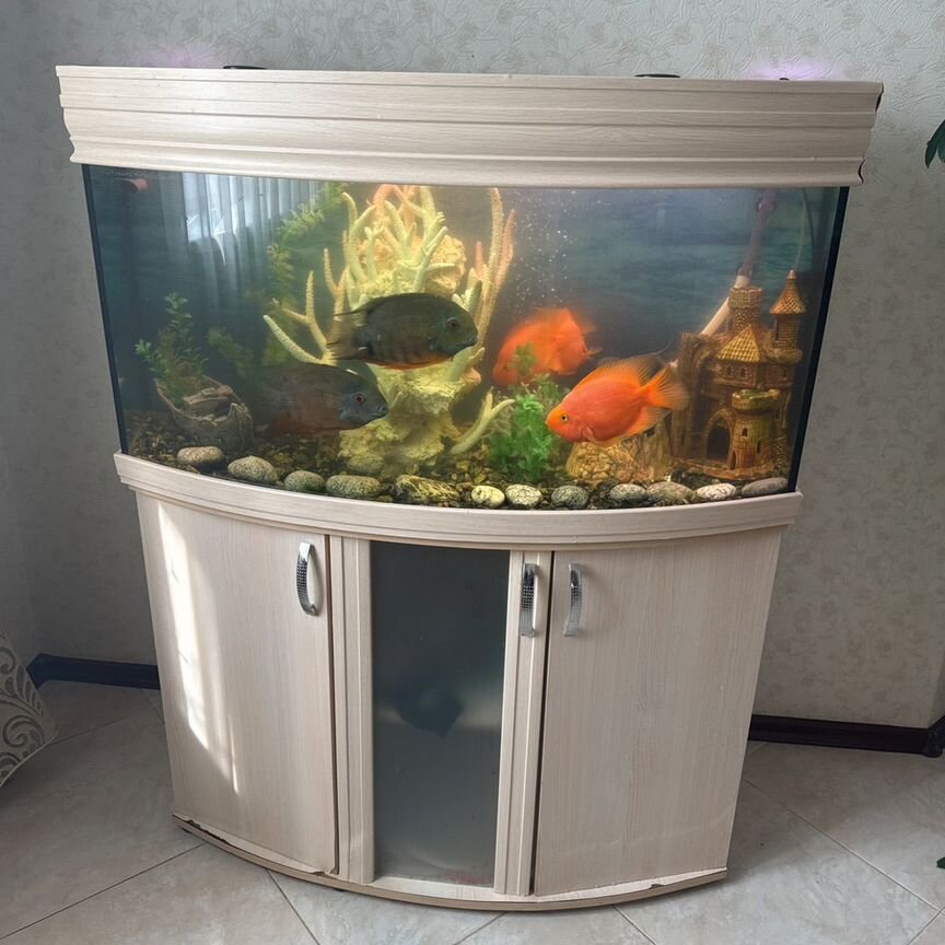 Аквариум с тумбой