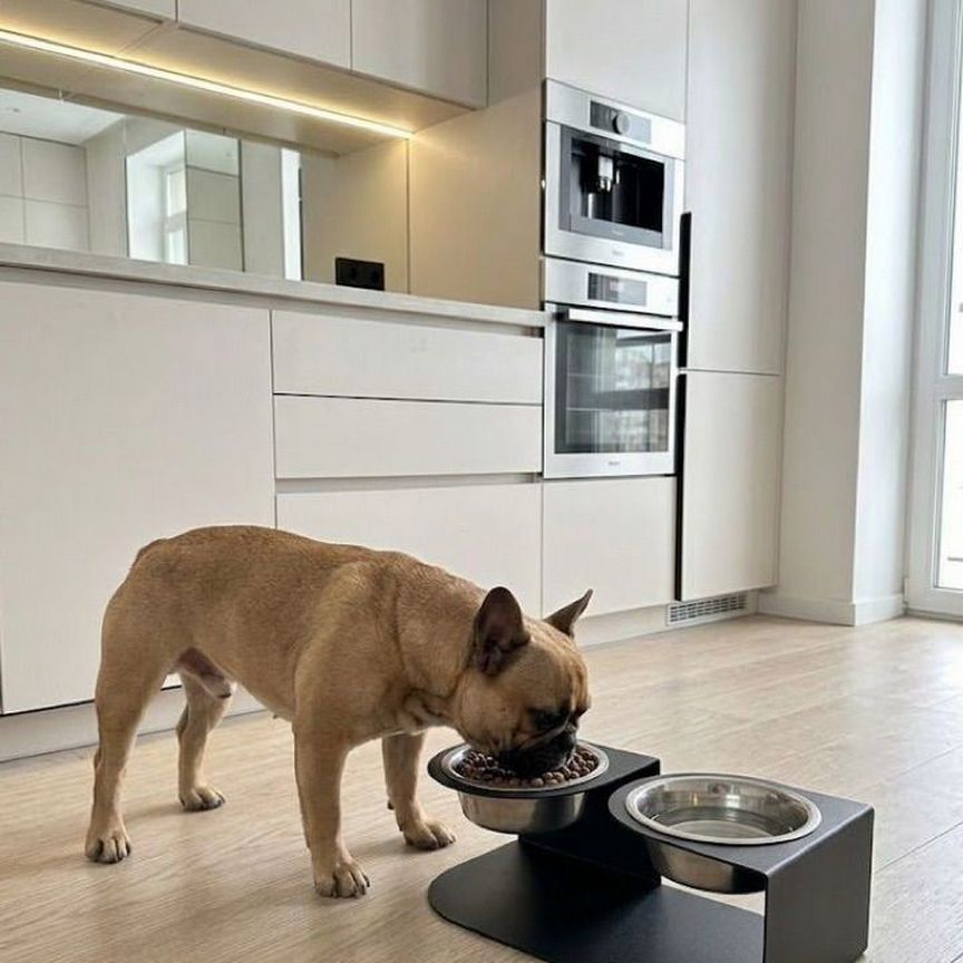 Loft-подставка для мисок