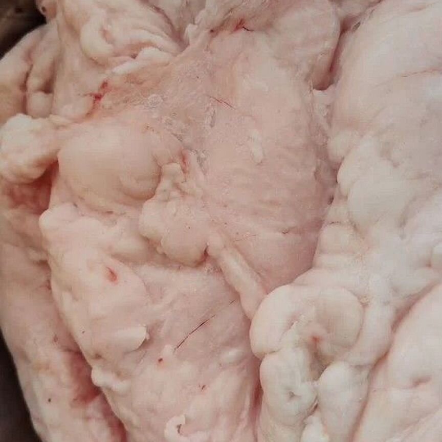 Жир нутряной свиной свежий