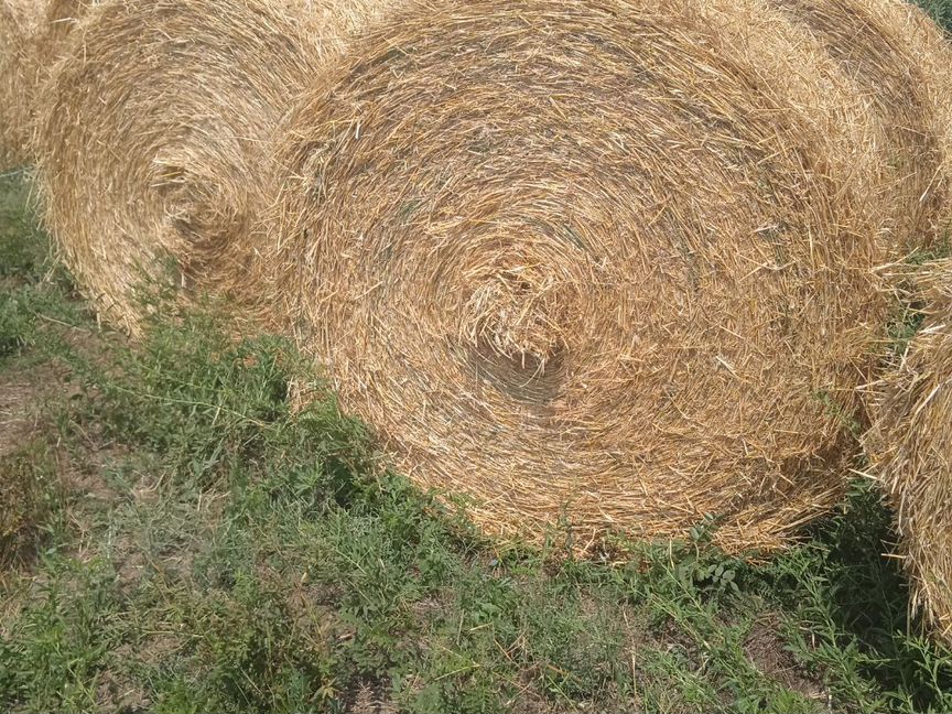 Солома в рулонах