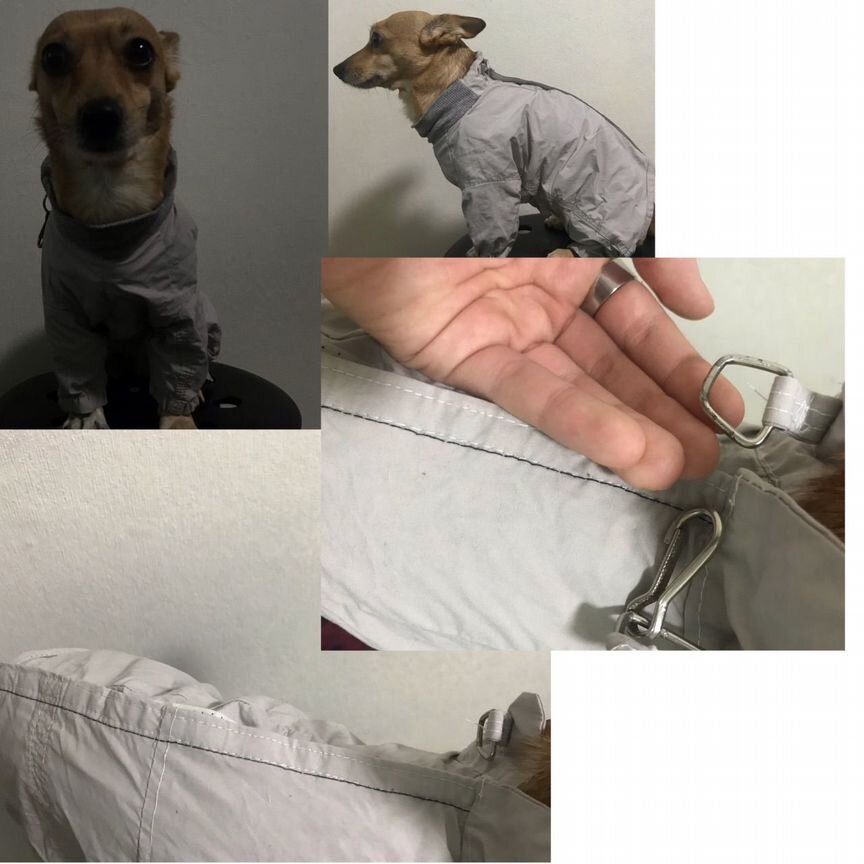 Одежда для мелких собак б/у