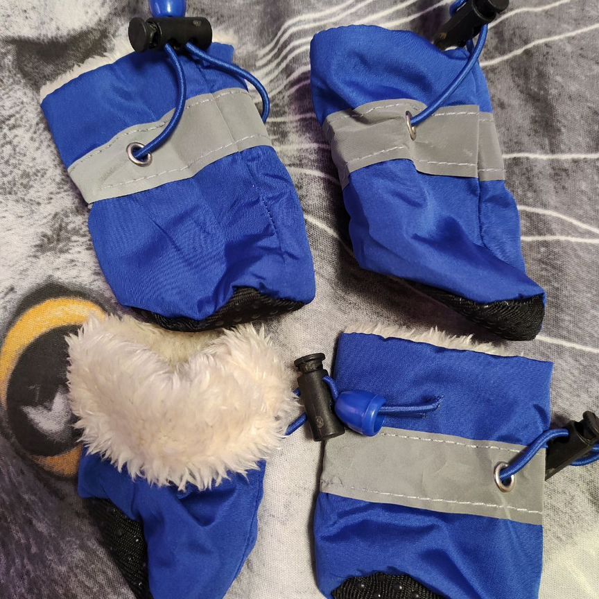 Обувь для собак мелких пород