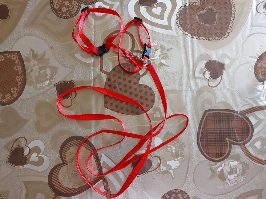 Поводок для кошек