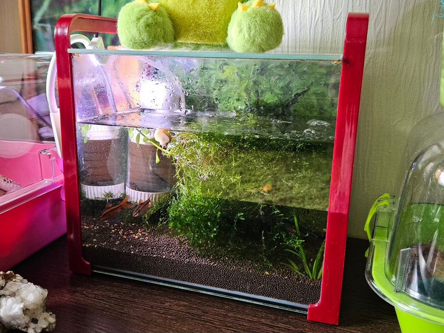 Аквариум 12 л