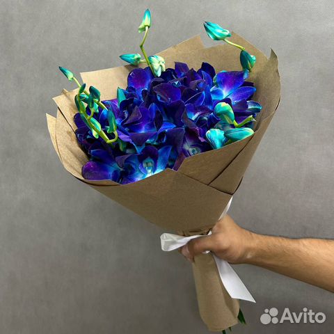 Букет живых цветов из космических орхидей 19 шт купить в Москве ...