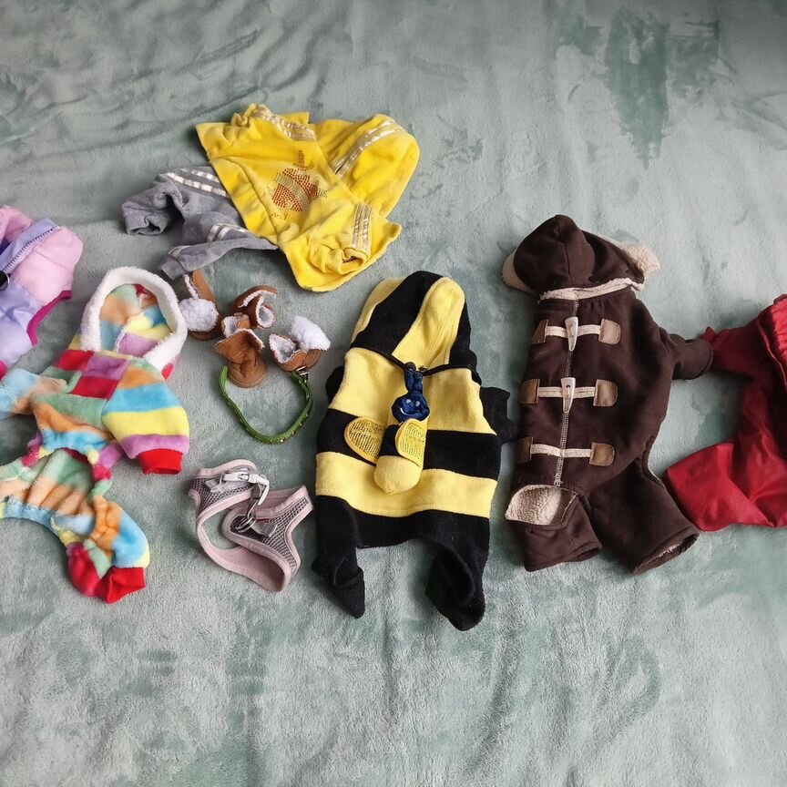 Одежда для собак мелких пород