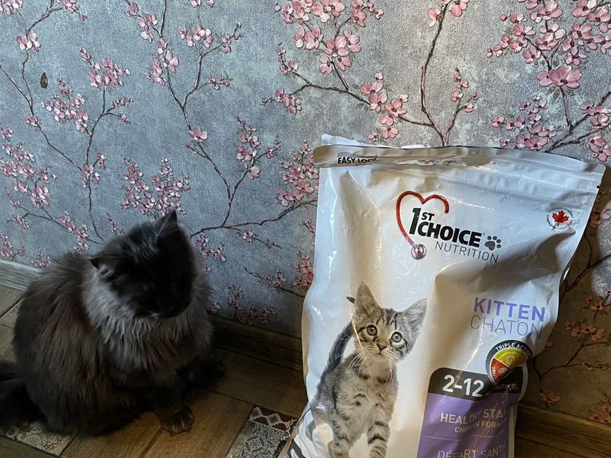 Корм для котят 1 choice