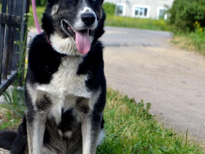 Лара ищет семью