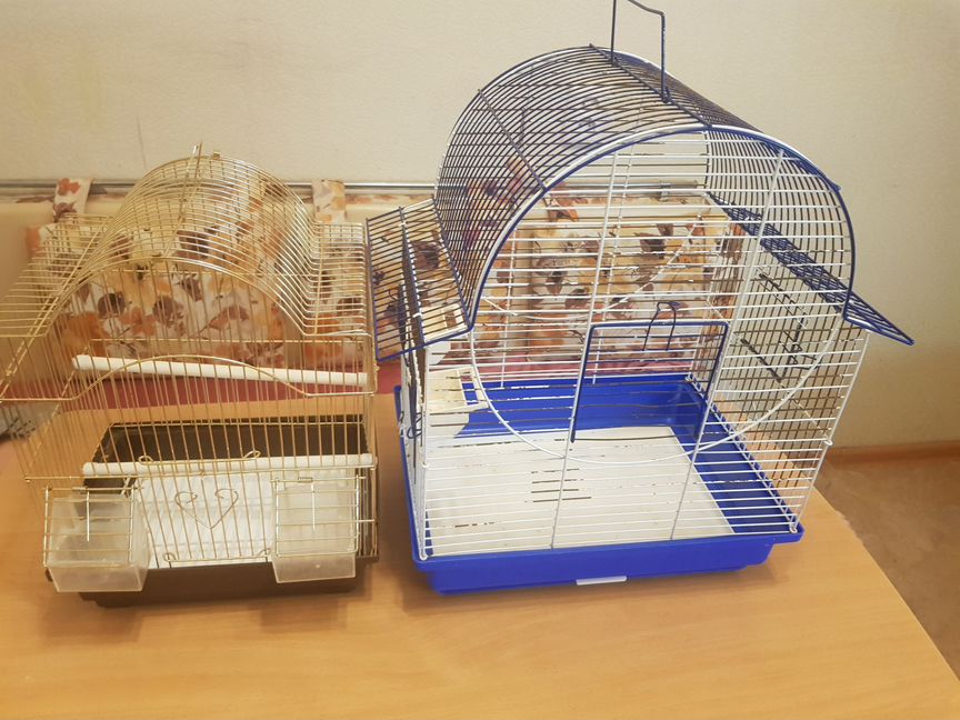 Клетка для попугая