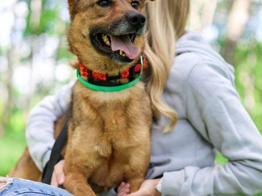 Малышка Юла ищет дом