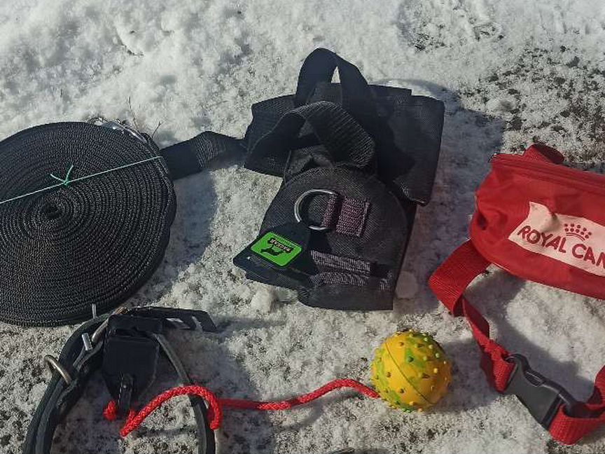 Ошейник для крупной собаки