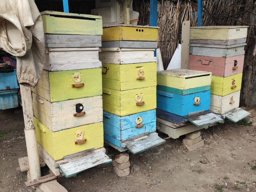 Ульи для пчел "Рута", всё для пчеловодства