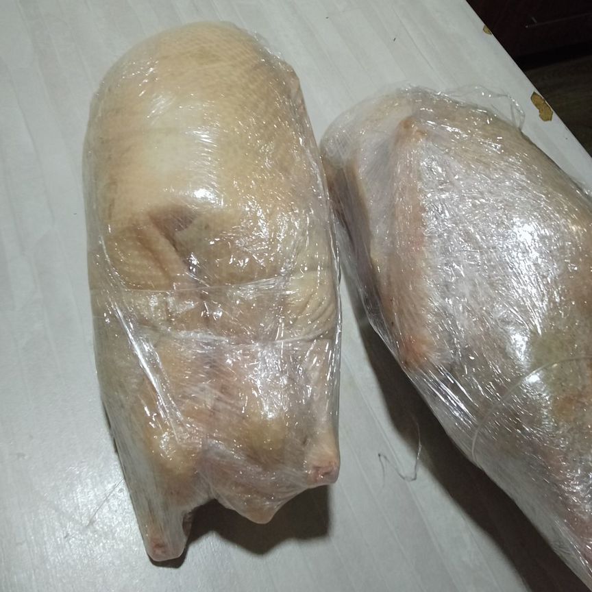 Гусиное мясо