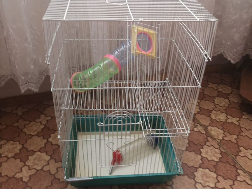 Клетка большая и очень большая