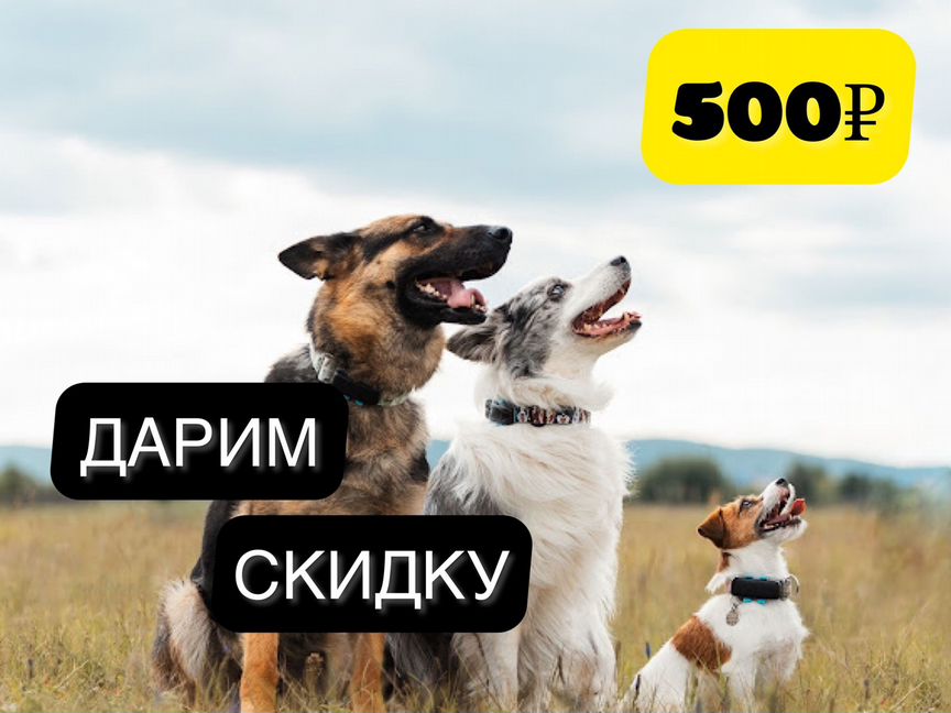 Трекер для крс