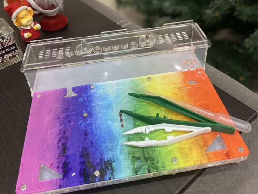 Формикарий муравьиная ферма