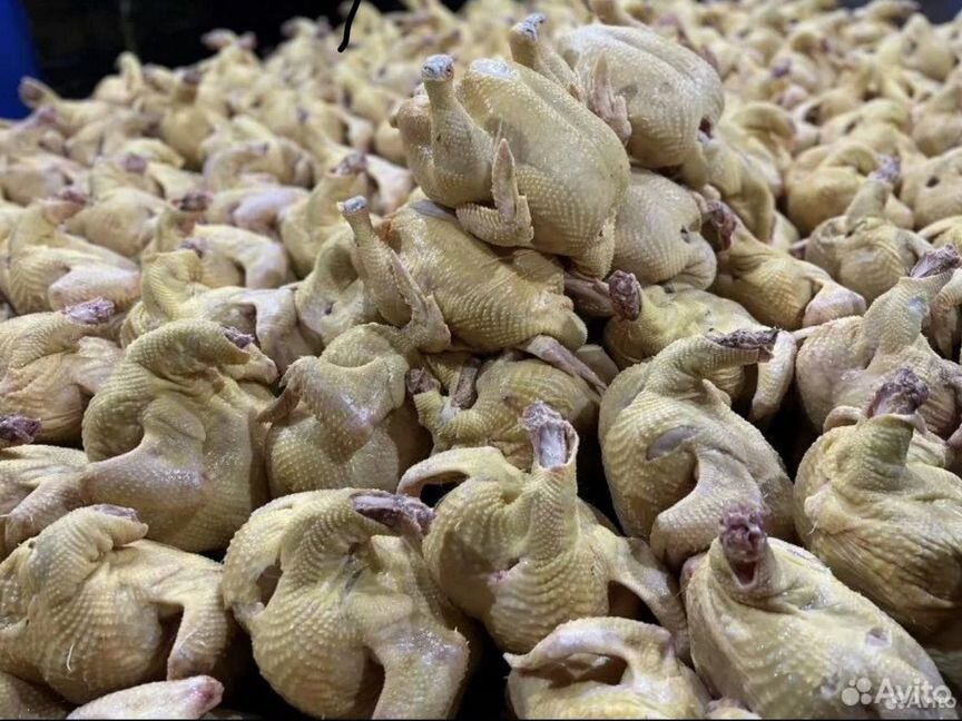 Куры бройлеры фермерские