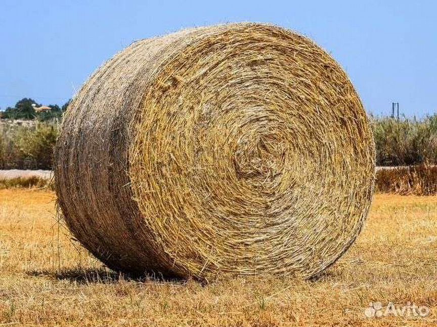 Сено Вики в рулонах