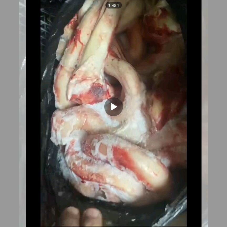 Бычий корень