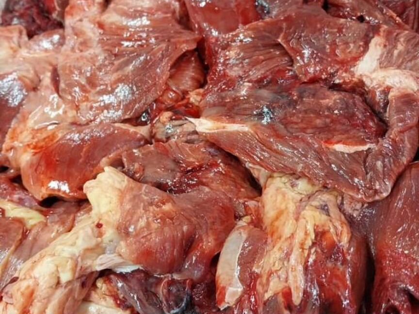 Мясо и субпродукты для собак