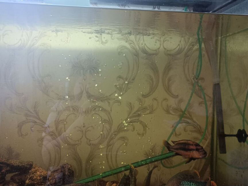 Аквариум с рыбками бу