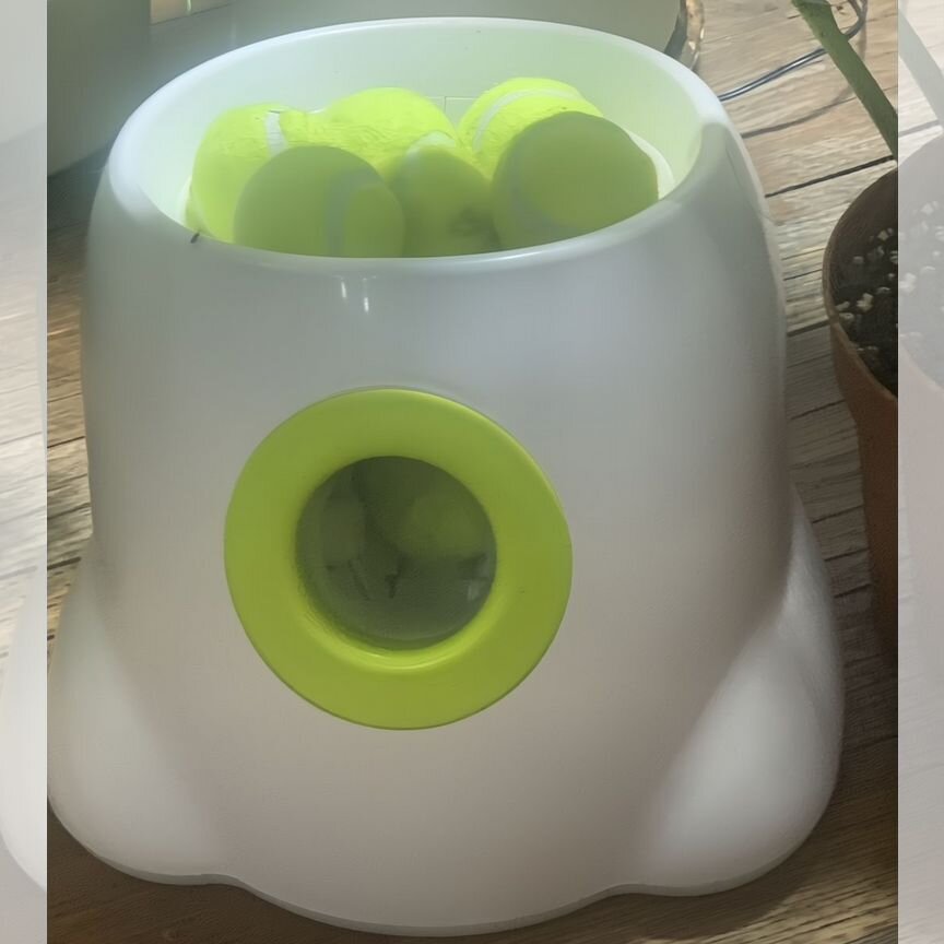 Катапульта для собак игрушка