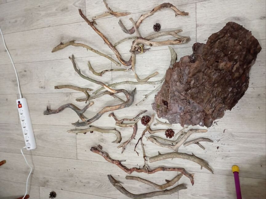 Коряги дрифтвуд