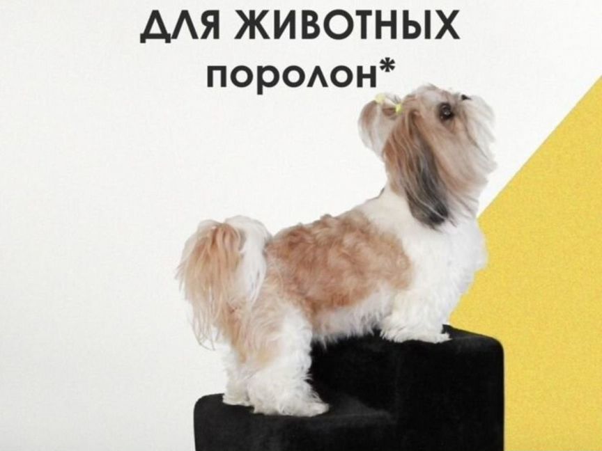 Лесенка для животгых