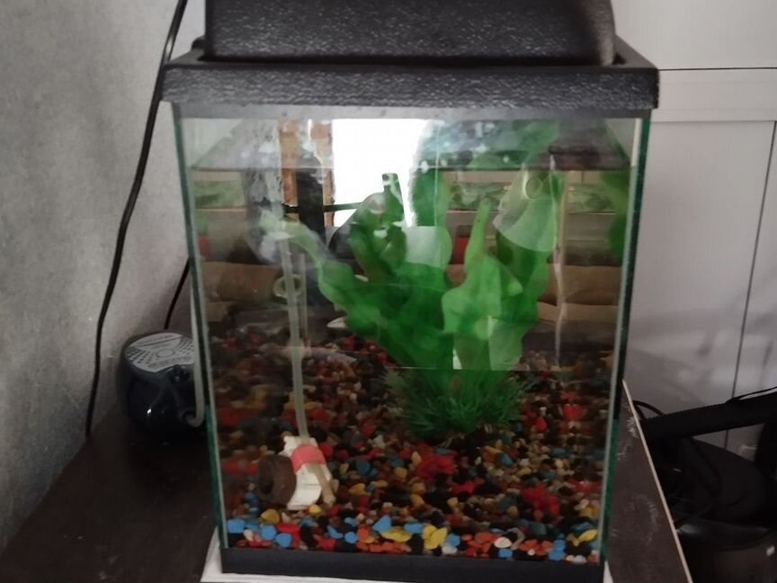 Украшение для аквариума