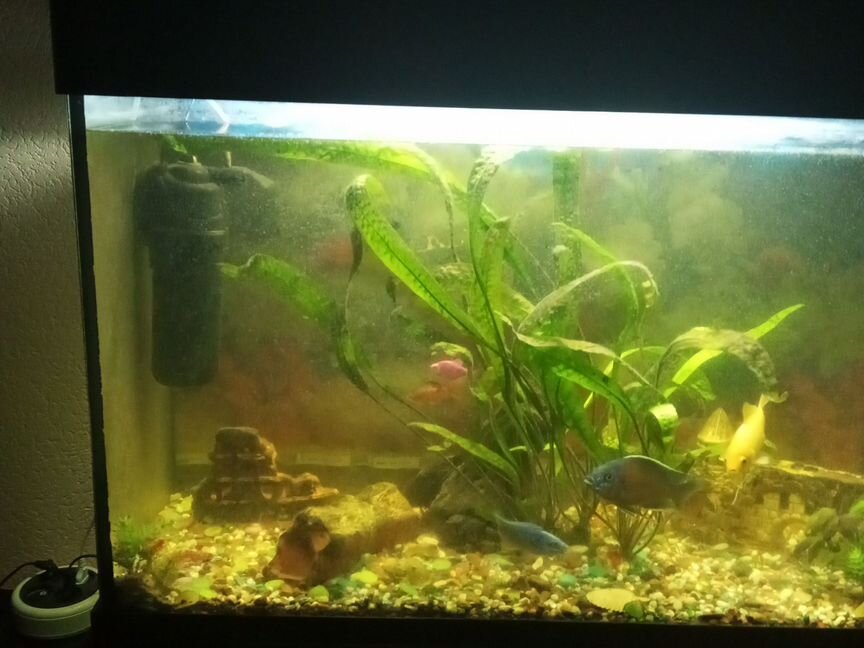 Украшения для аквариума