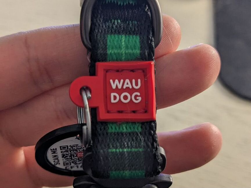 Ошейник waudog (размер XS)