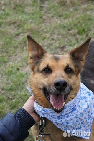Скромный Варяг ещё не потерял надежду
